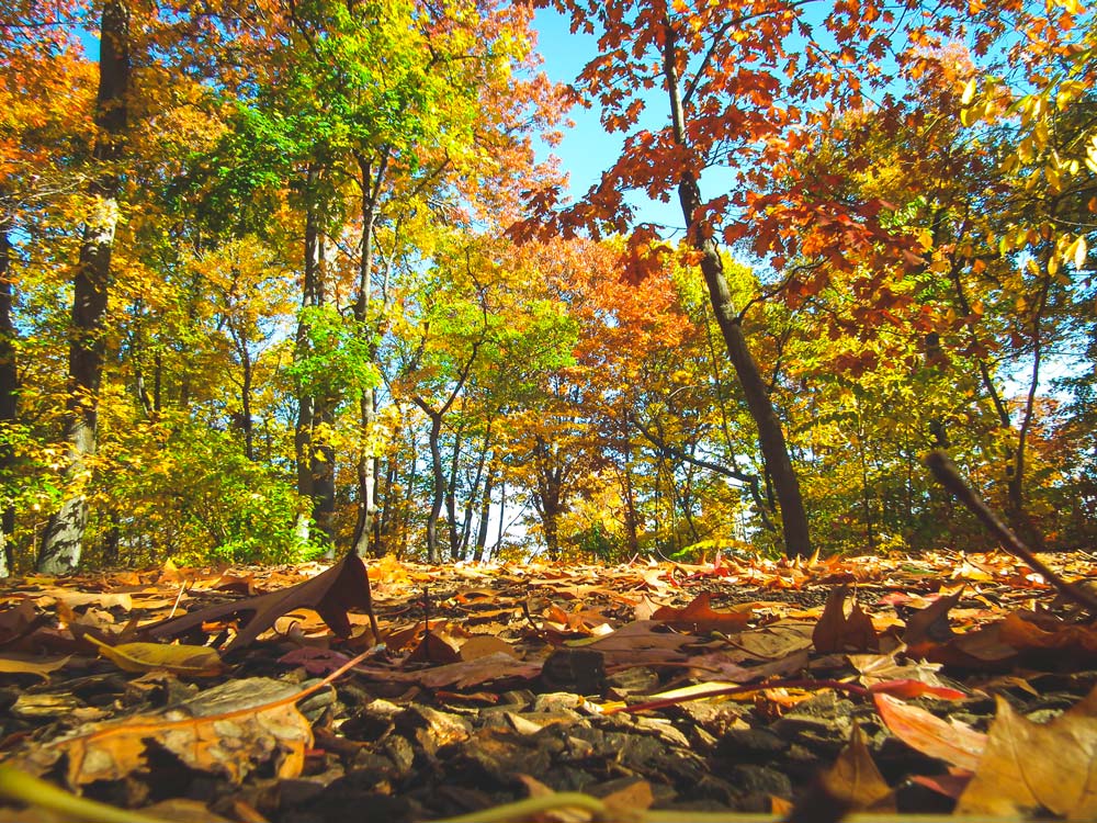 Quoi faire au Québec cet automne? | Béatrice