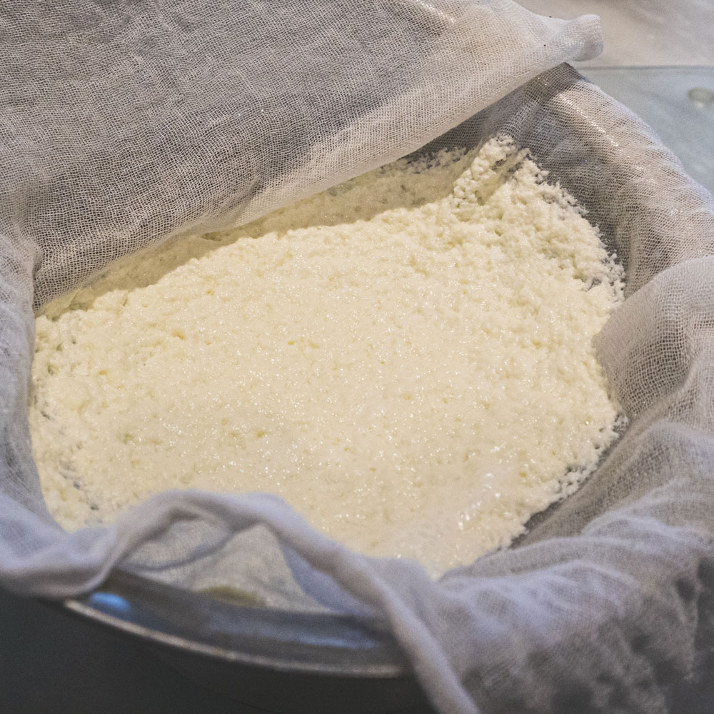 Recette de fromage maison (style ricotta) | Béatrice