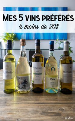 Mes 5 vins préférés à moins de 20$ | Béatrice
